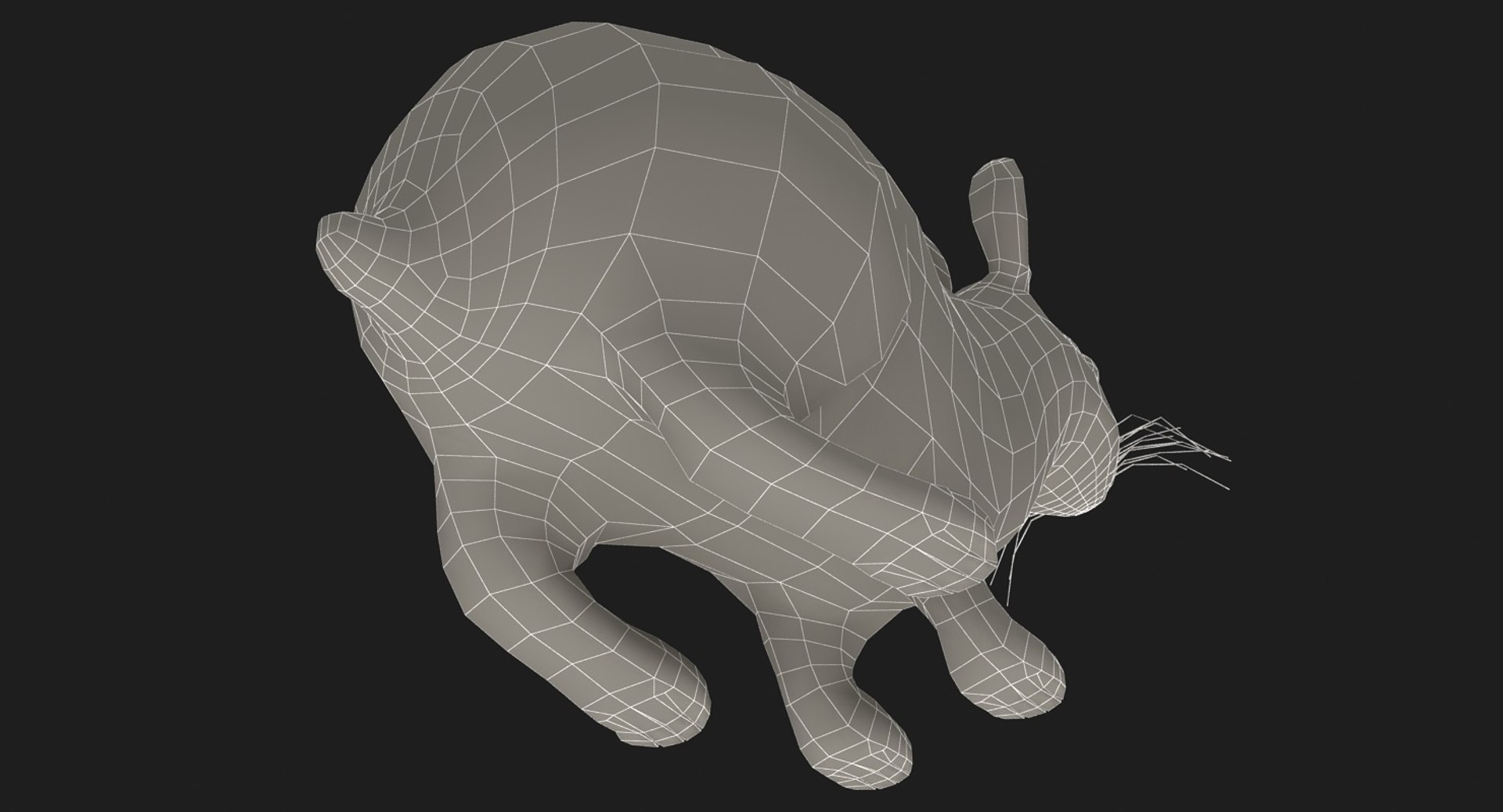 Realistic Rabbit 3D Model - TurboSquid 1307932