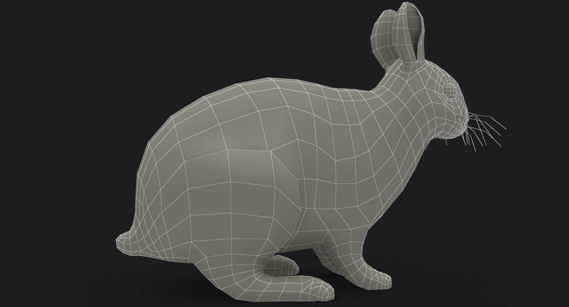 Realistic Rabbit 3D Model - TurboSquid 1307932