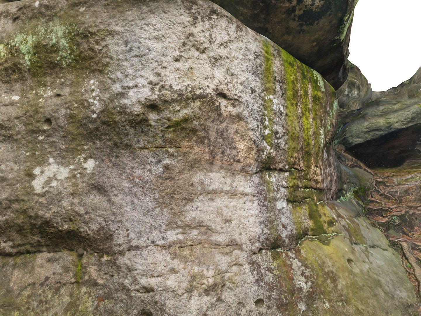 Forest rock cliff 16k 3D model - TurboSquid 1176765