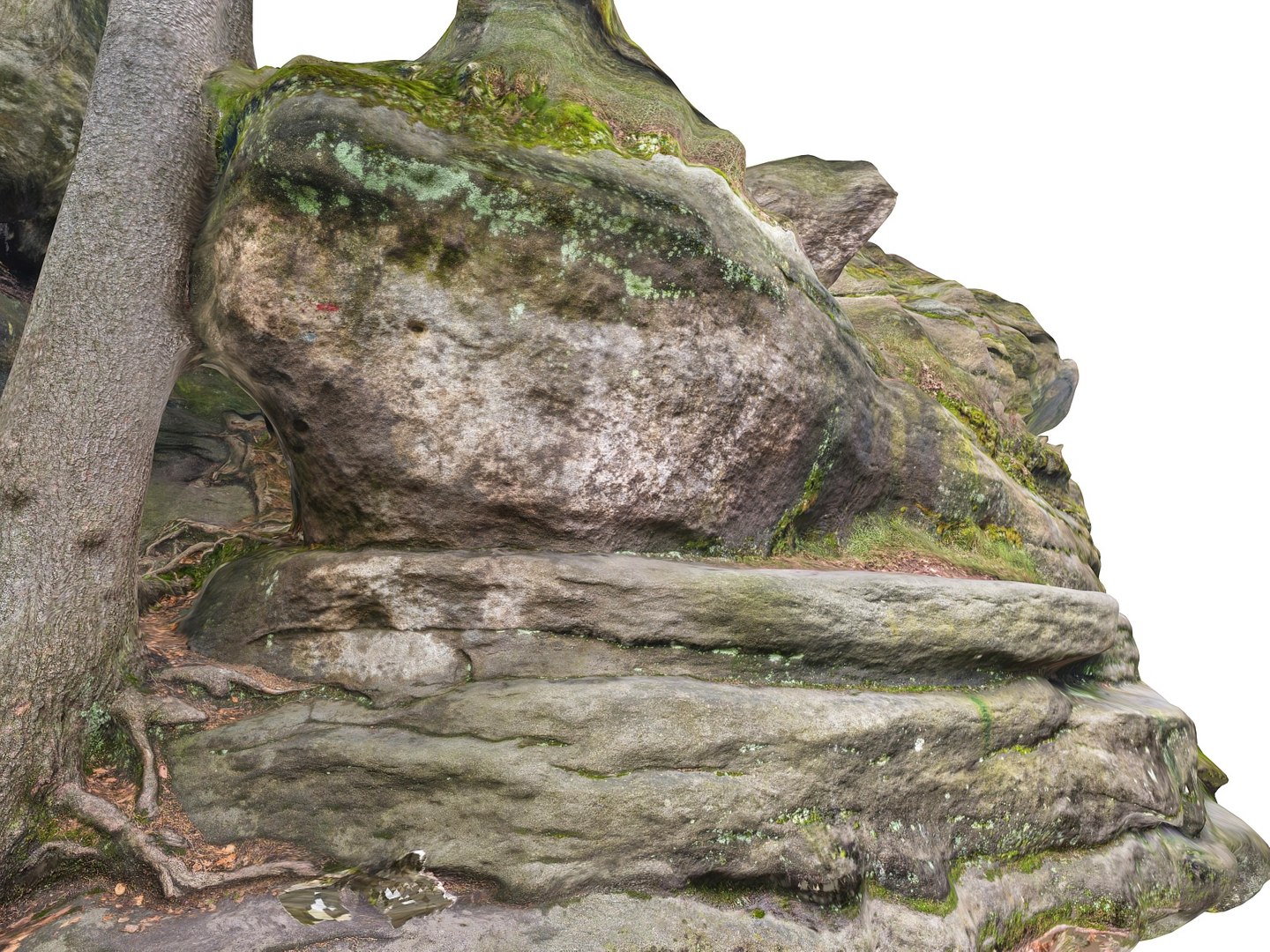 Forest rock cliff 16k 3D model - TurboSquid 1176765