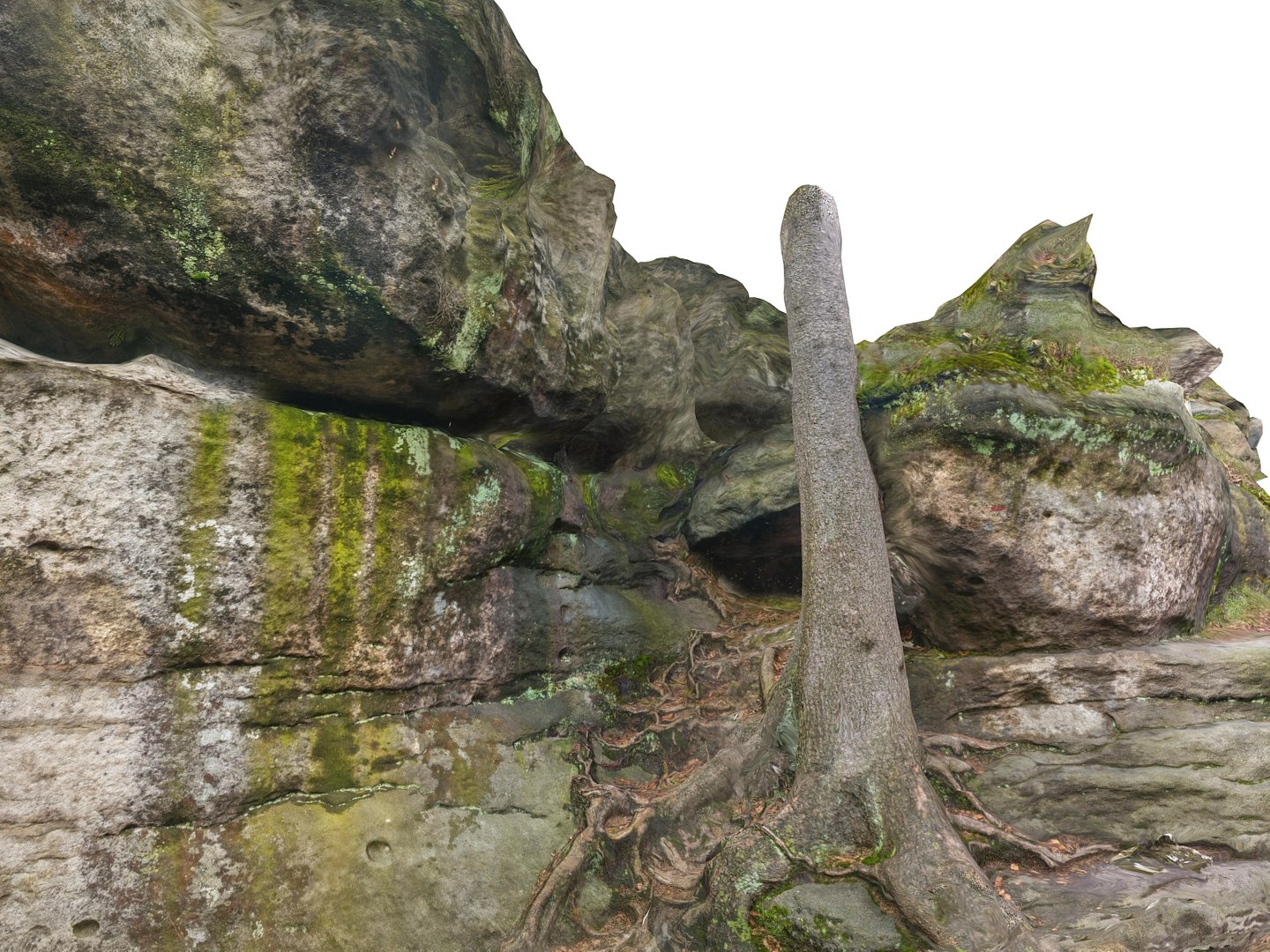 Forest rock cliff 16k 3D model - TurboSquid 1176765
