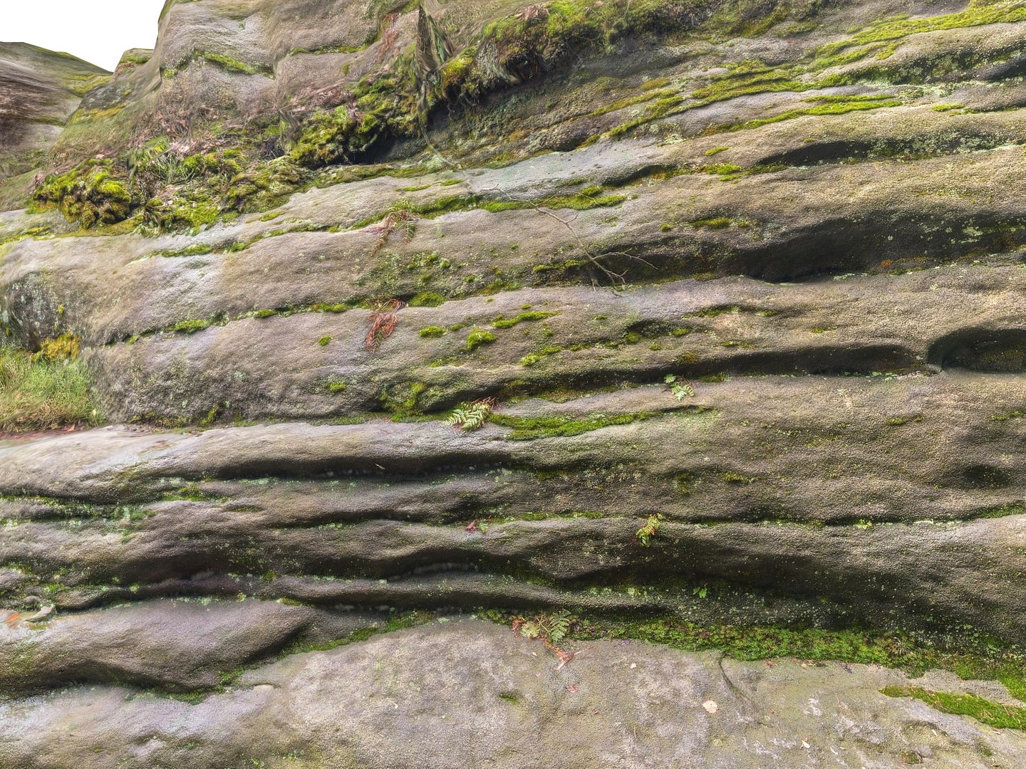 Forest rock cliff 16k 3D model - TurboSquid 1176765