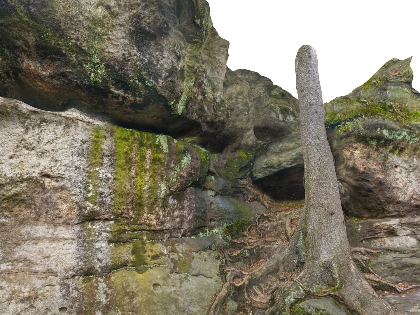 Forest rock cliff 16k 3D model - TurboSquid 1176765