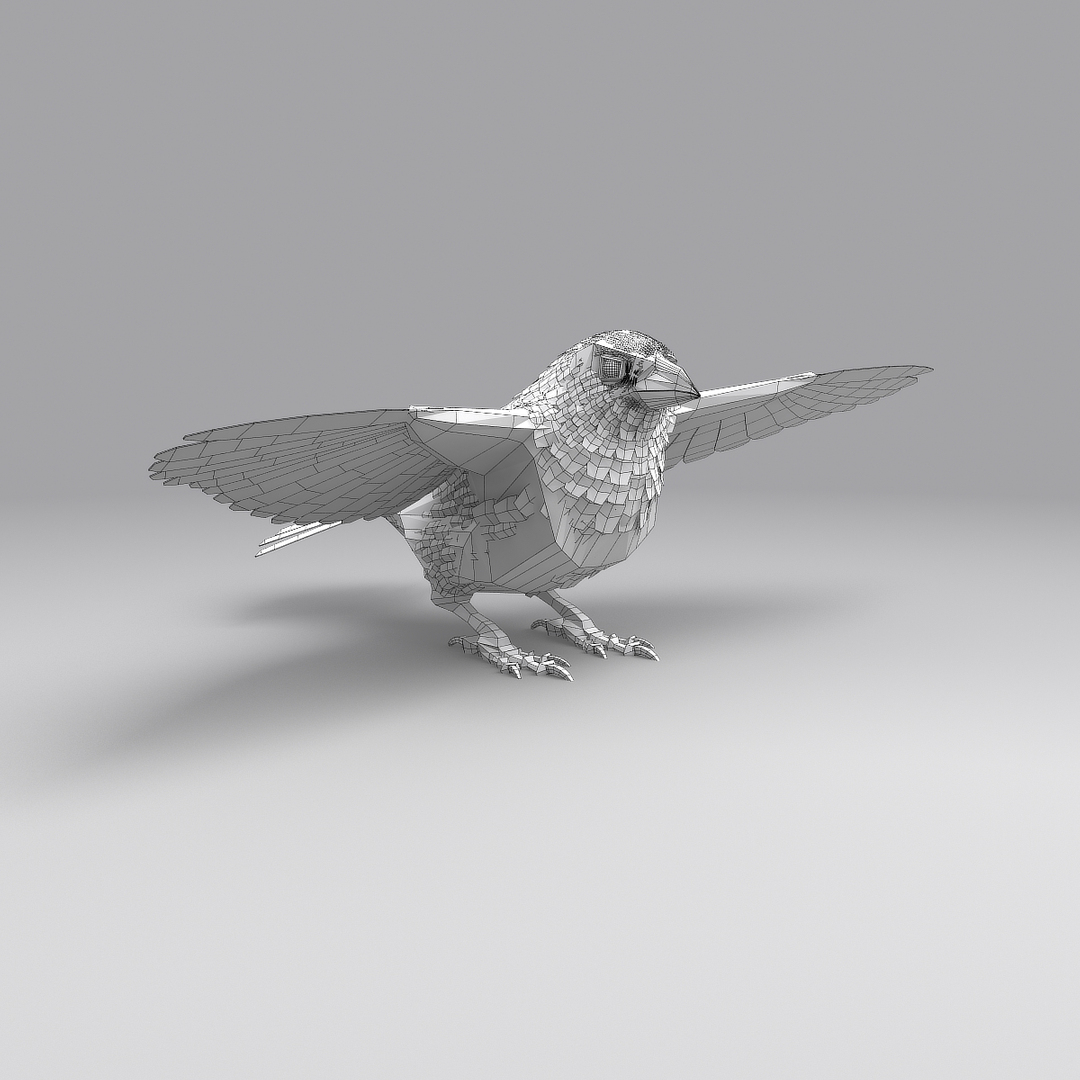 3d house finch model