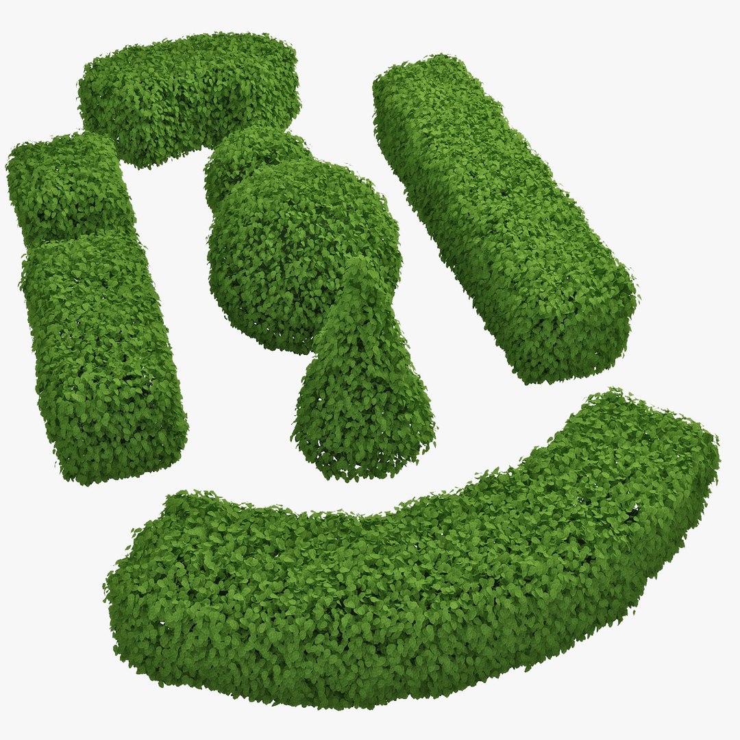hedge 3d model