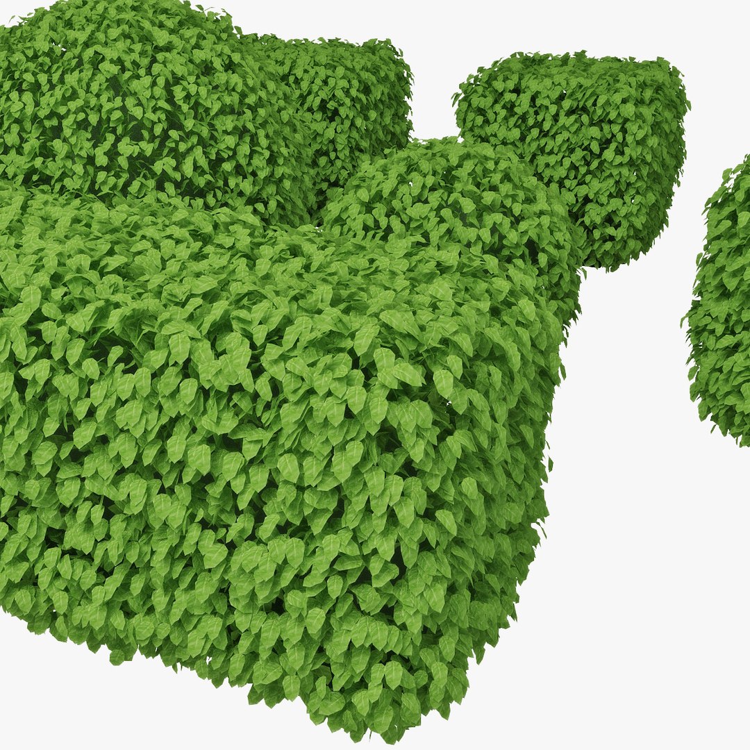 hedge 3d model
