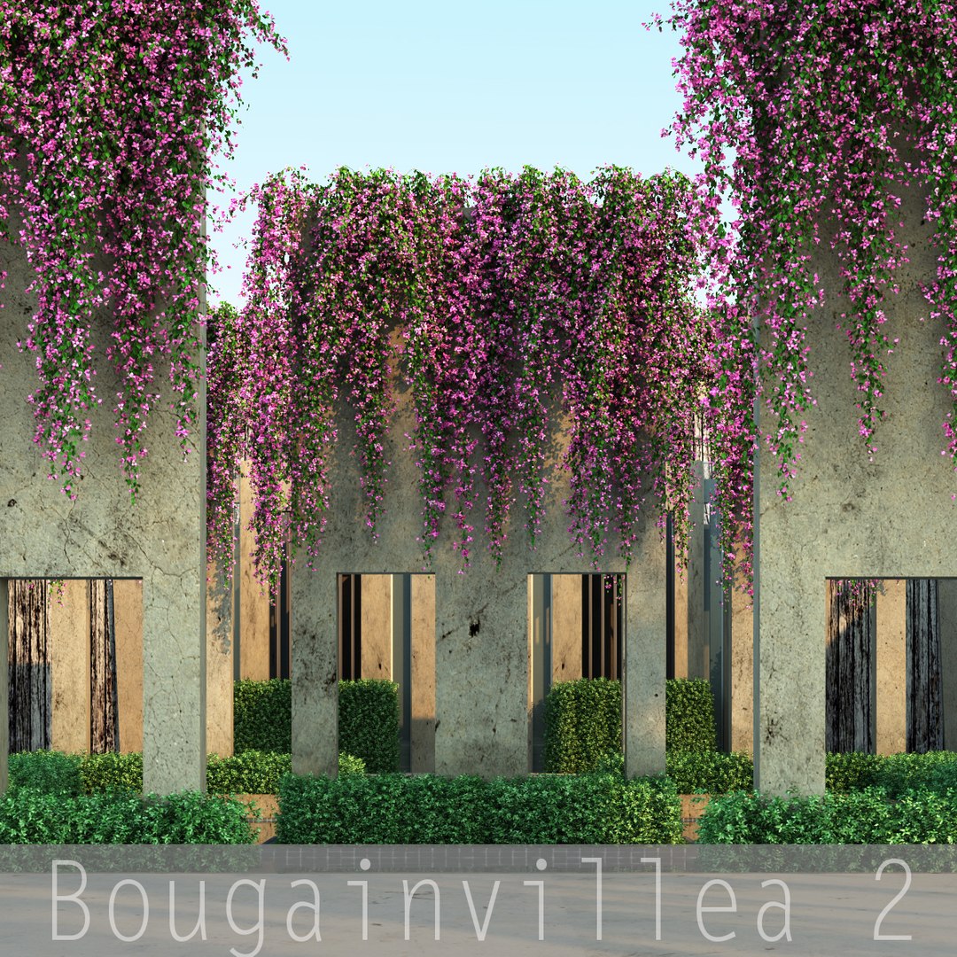 3d 2 Flower Plant Model