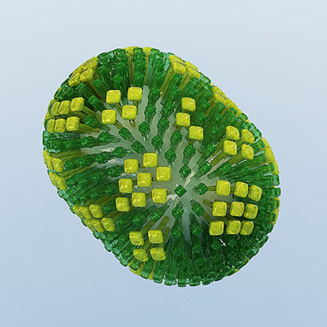 Flu Virus 3d Model