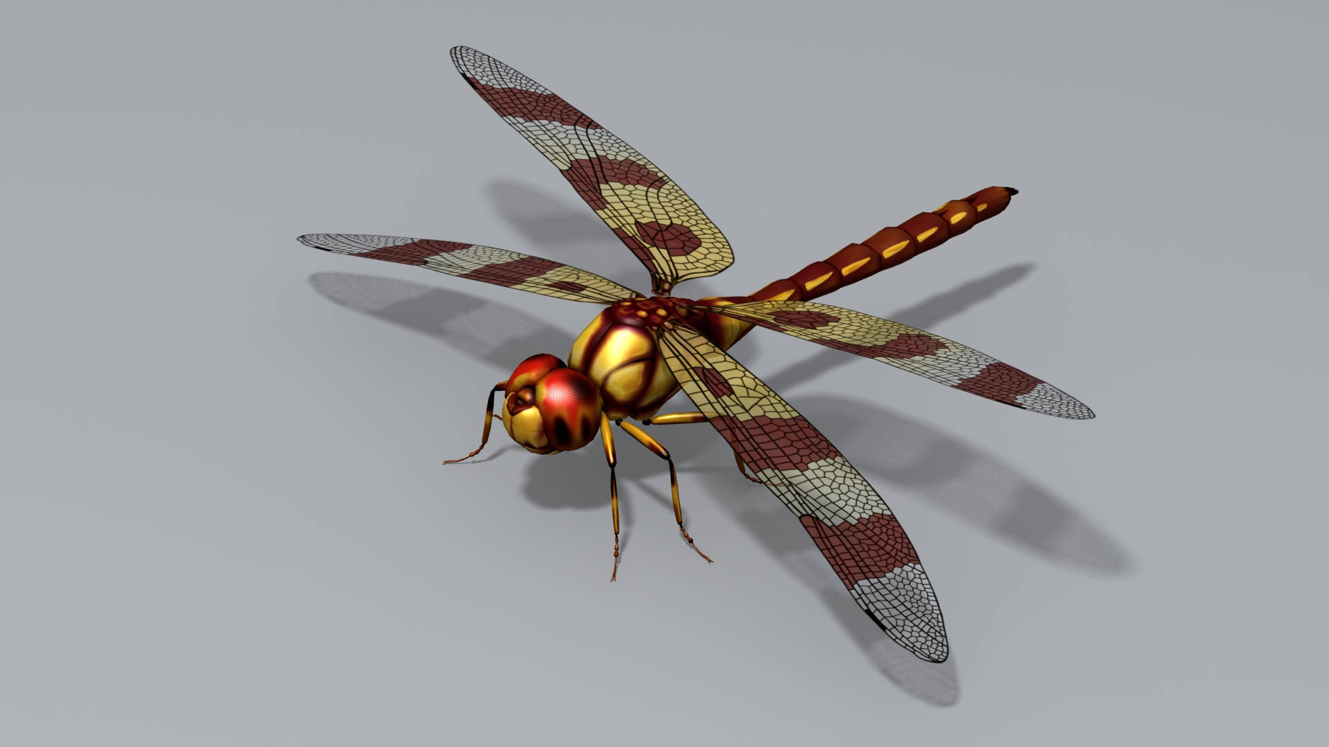 Dragonfly 3D Model - TurboSquid 2210420