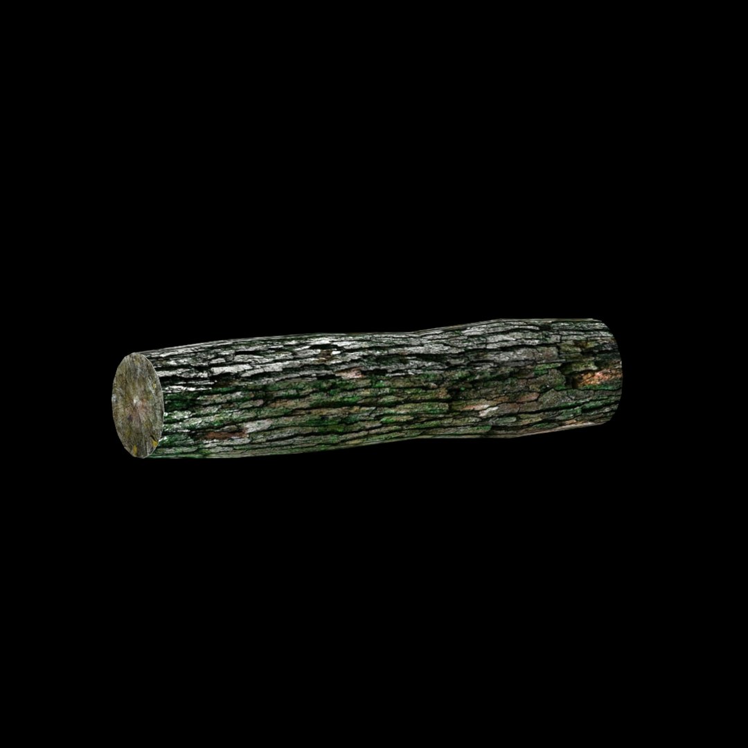 3d model log tree