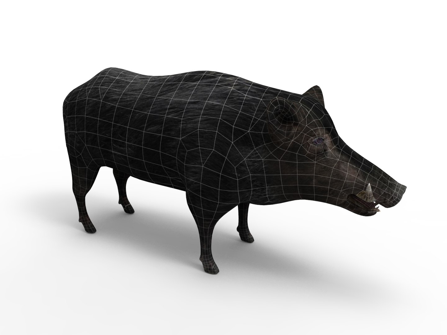 3D Wild Boar Rigged Animation - TurboSquid 1253122