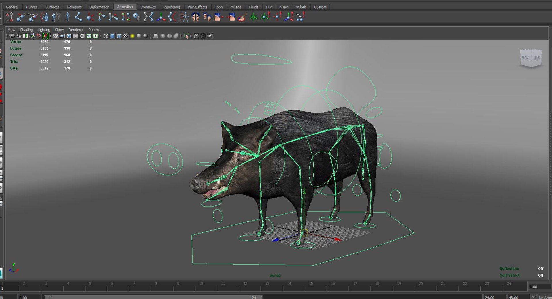 3D Wild Boar Rigged Animation - TurboSquid 1253122