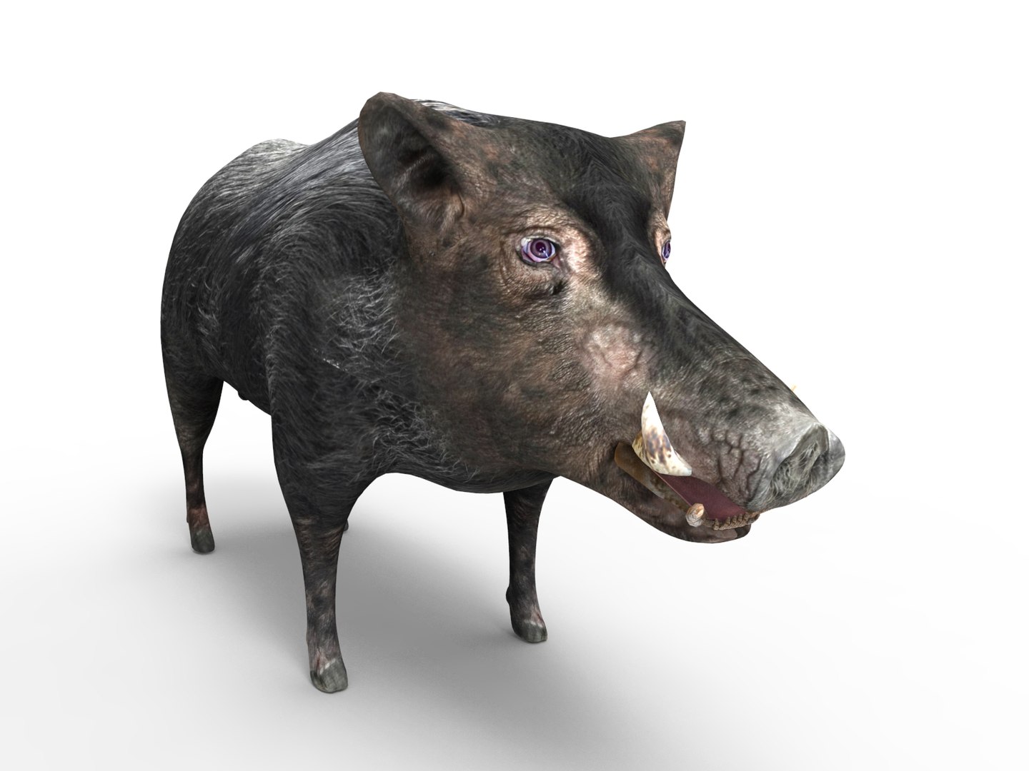 3D Wild Boar Rigged Animation - TurboSquid 1253122