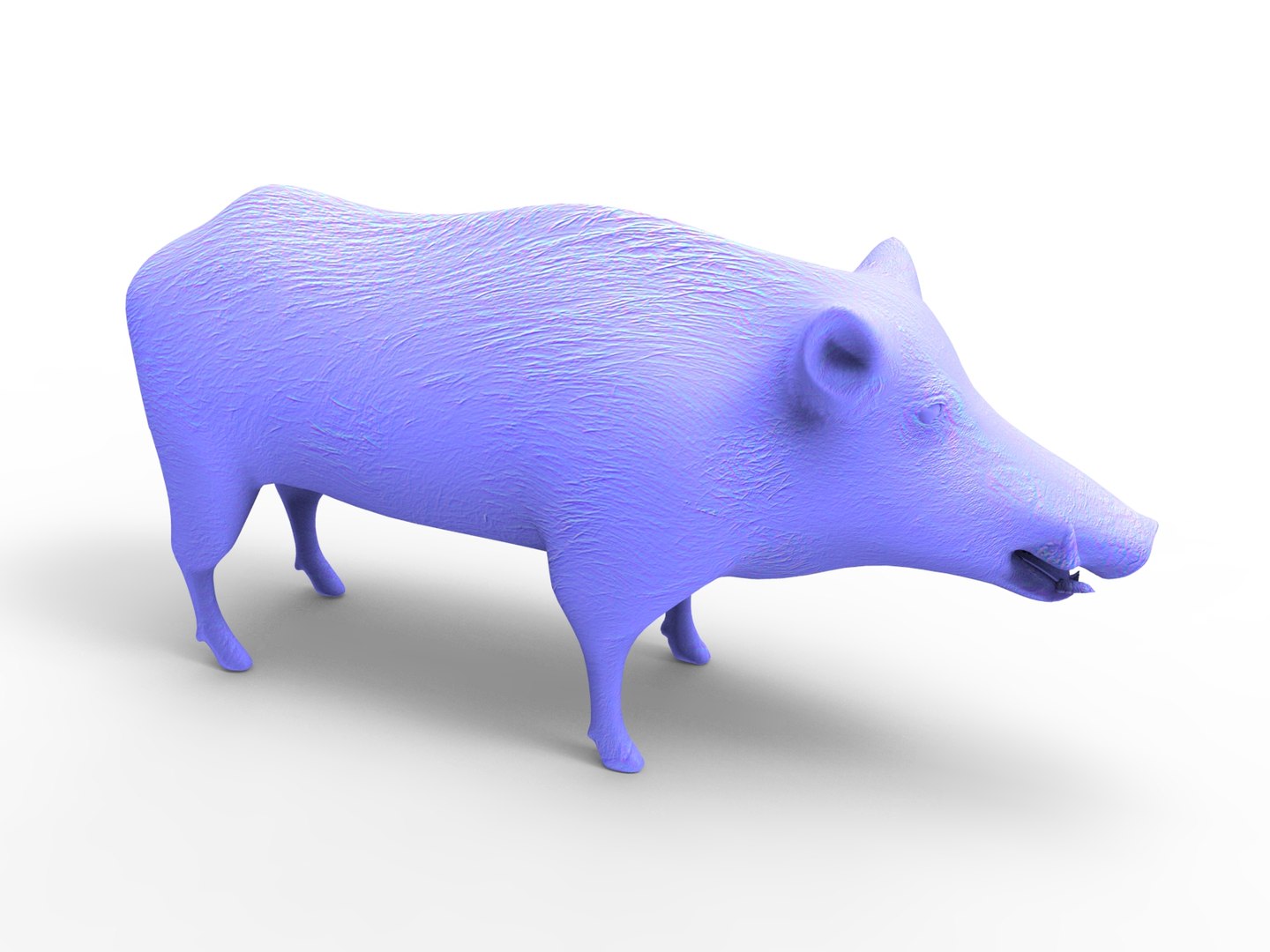 3D Wild Boar Rigged Animation - TurboSquid 1253122