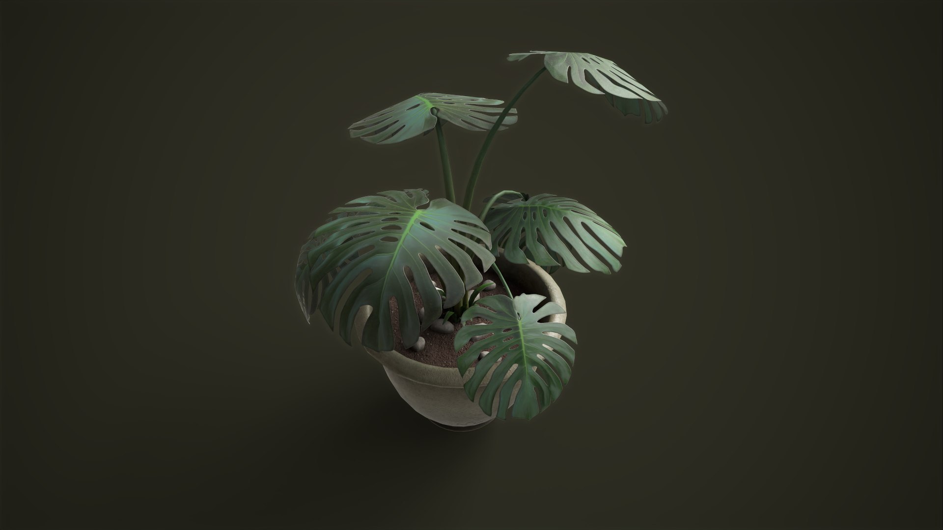 3D Model Monstera In A Pot - TurboSquid 2041759