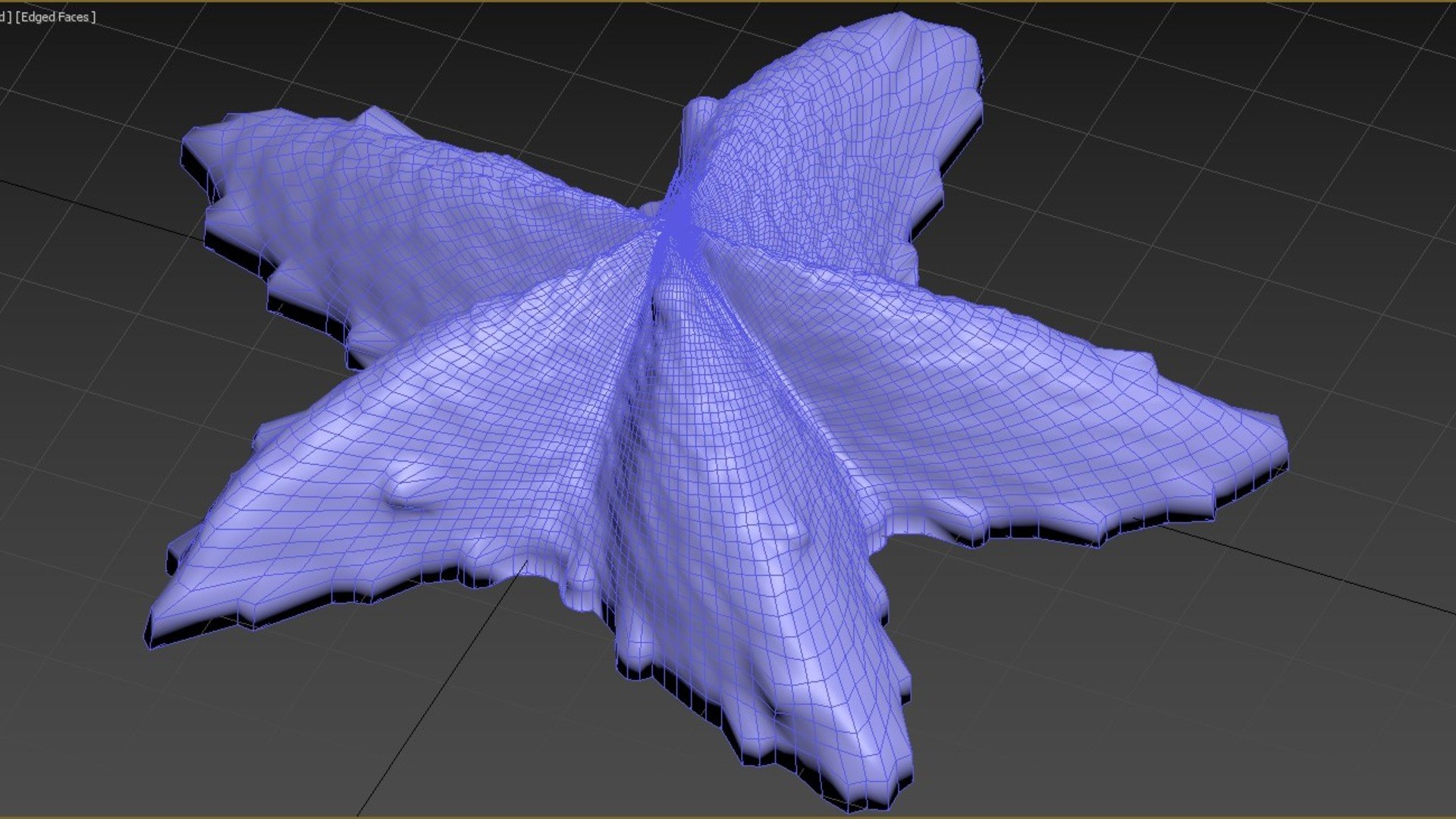 Sea Star 3D Model - TurboSquid 1851672