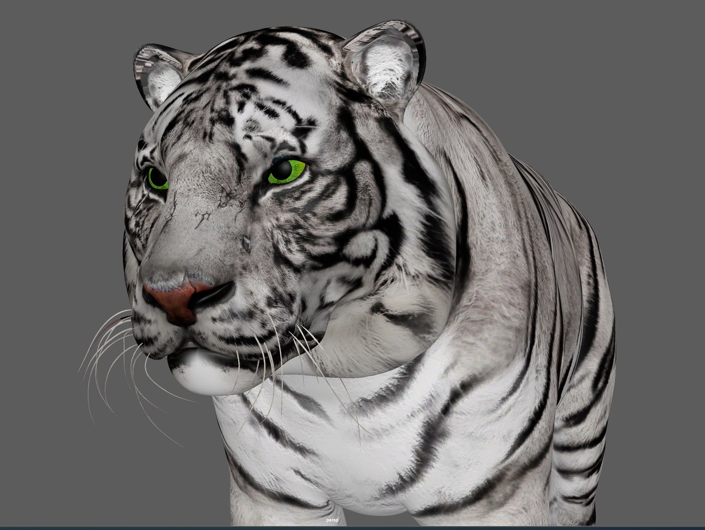 White Tiger Model - TurboSquid 1832184