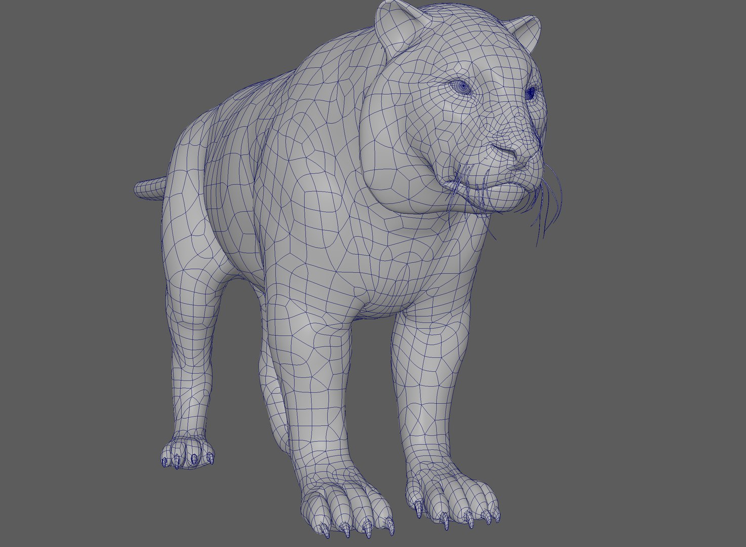 White Tiger Model - TurboSquid 1832184