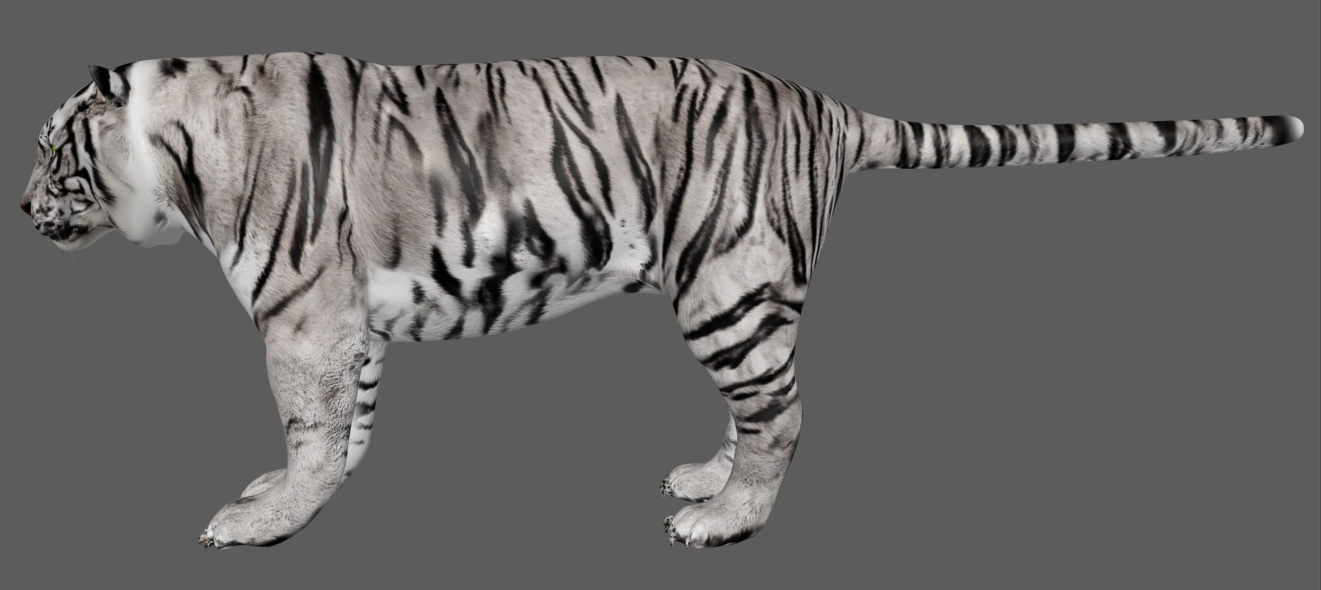 White Tiger Model - TurboSquid 1832184