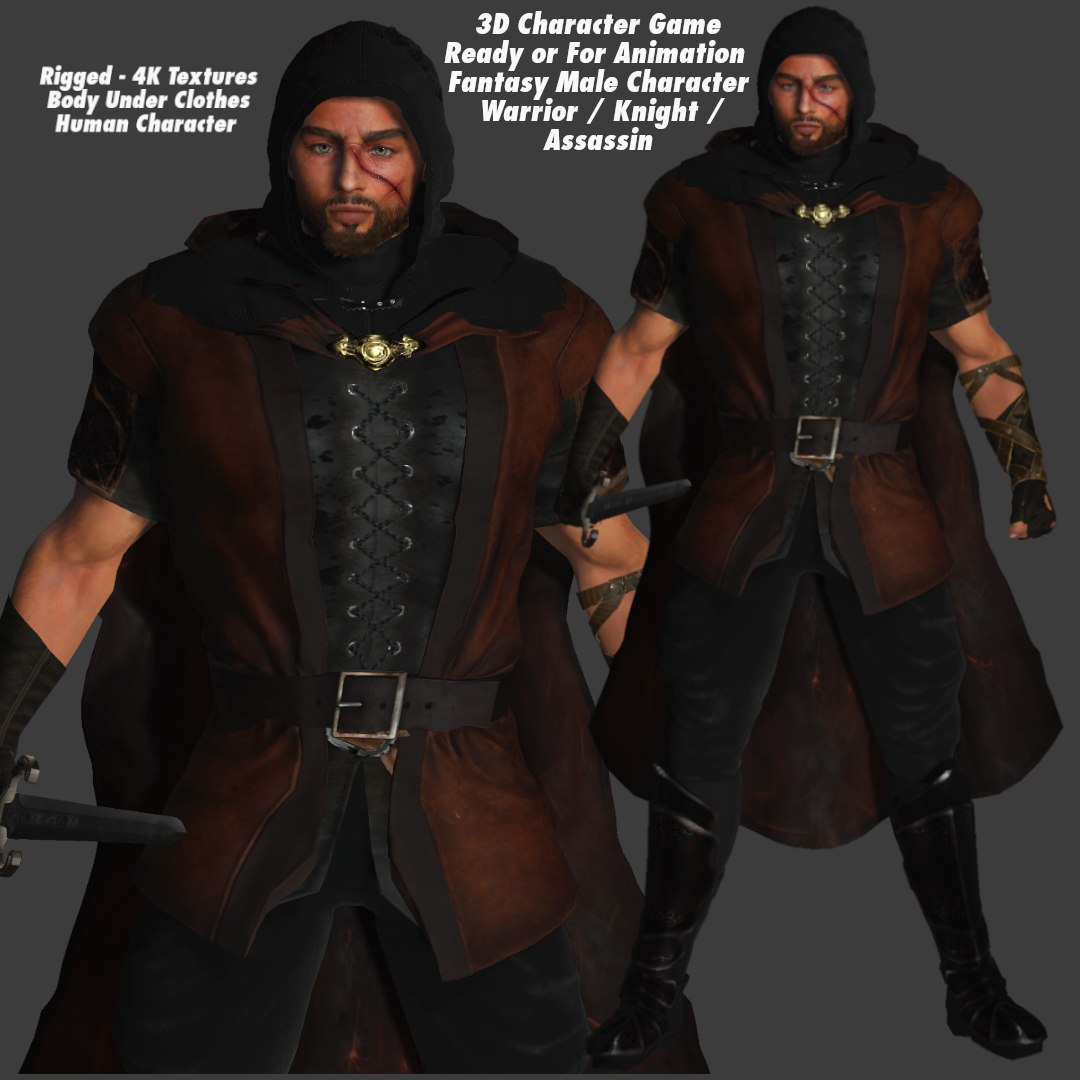 3D AAA 3D FANTASY MALE ASSASSIN CHARACTER-REALISTIC RIG GAME READY ...
