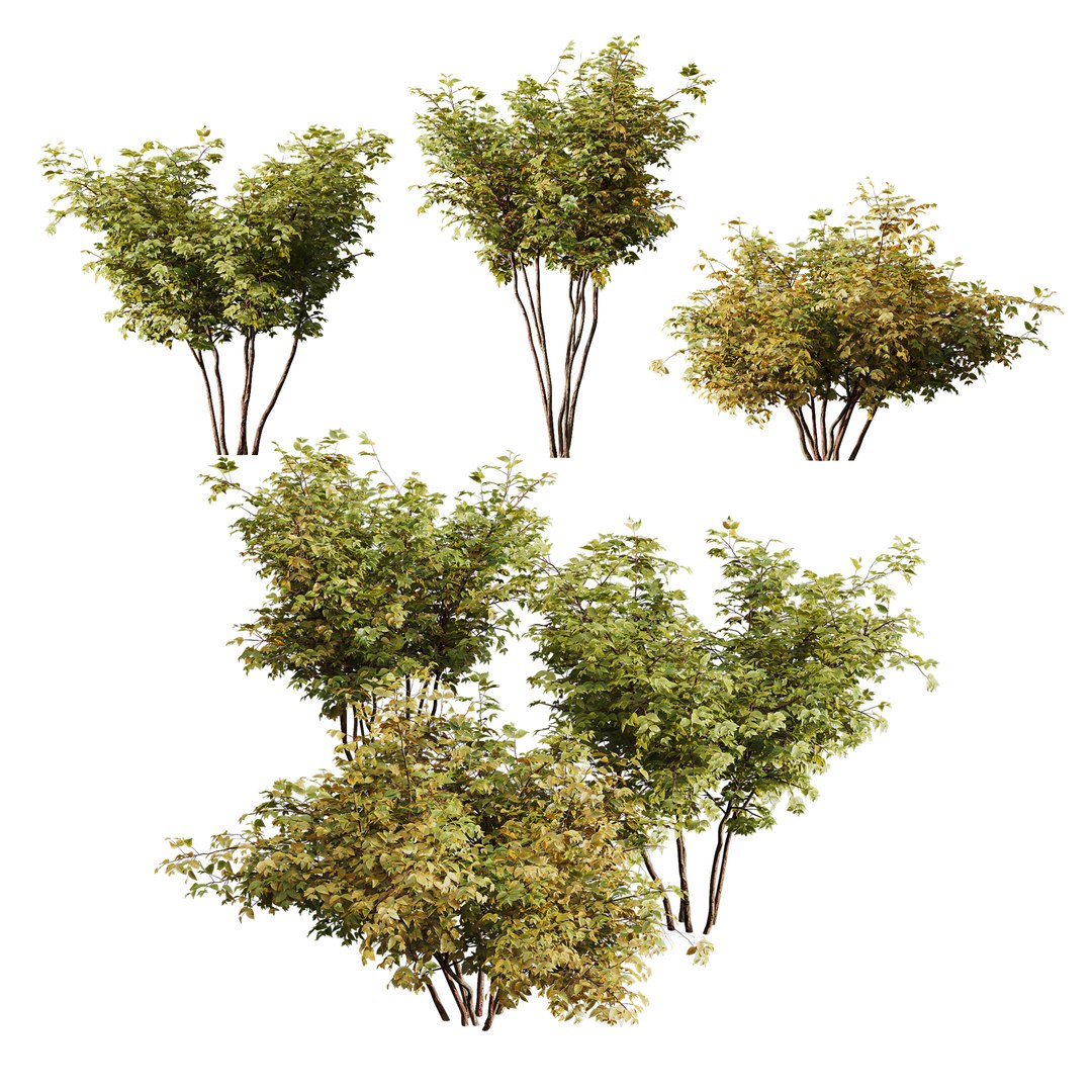 HQ Plants Bush Small model - TurboSquid 2129283