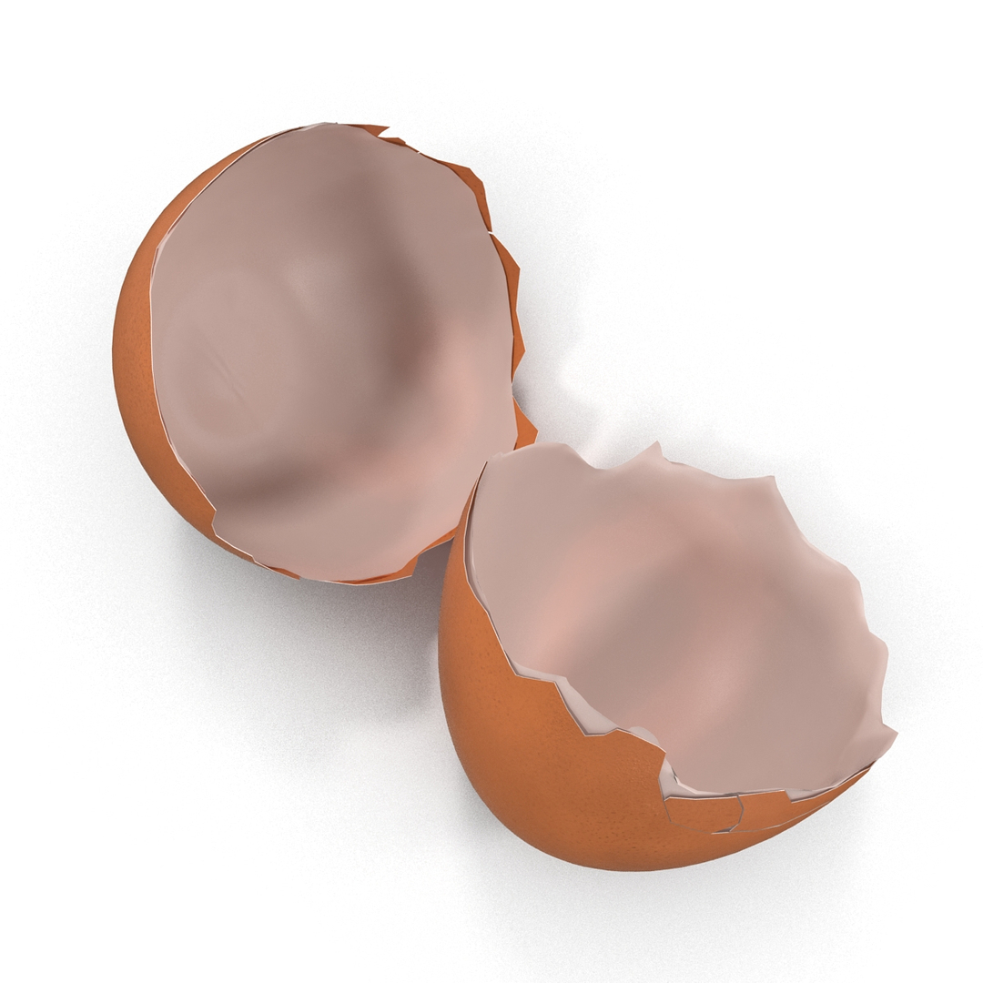 3ds Max Egg Shell