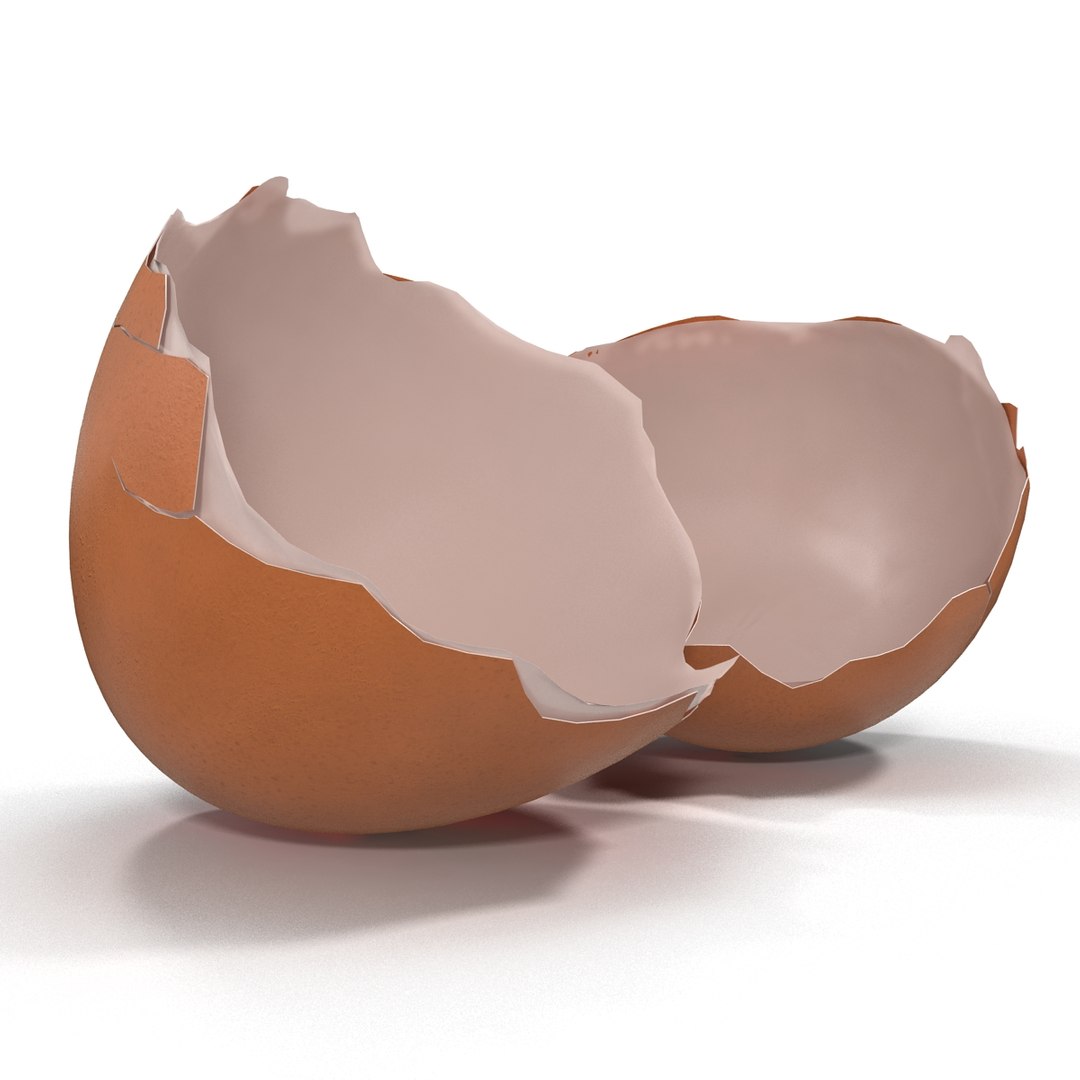 3ds Max Egg Shell