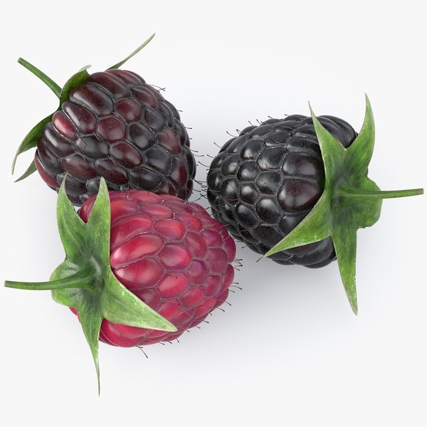 3d realistic raspberry real fruit model