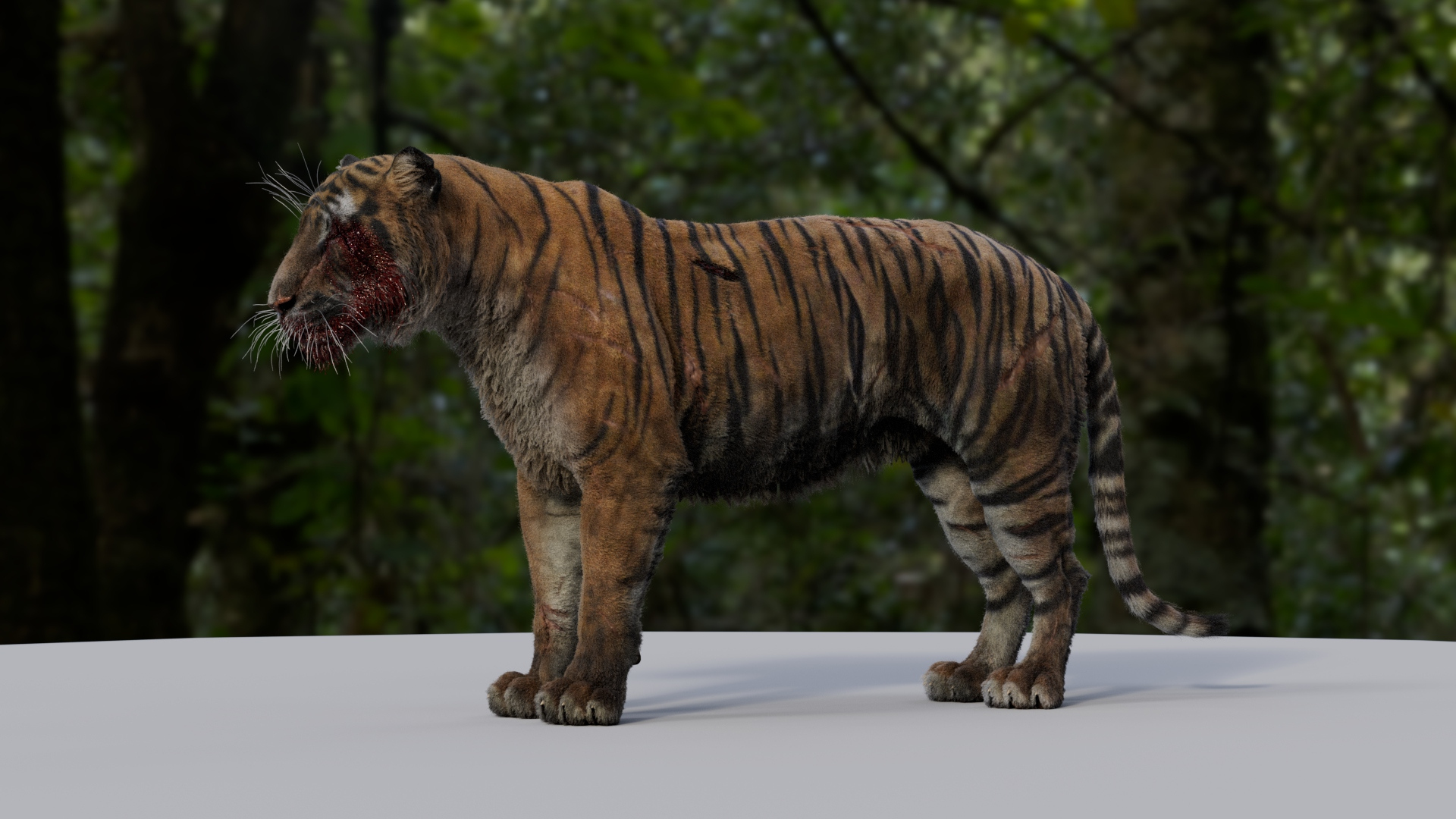 Tiger 3D Model - TurboSquid 2178097