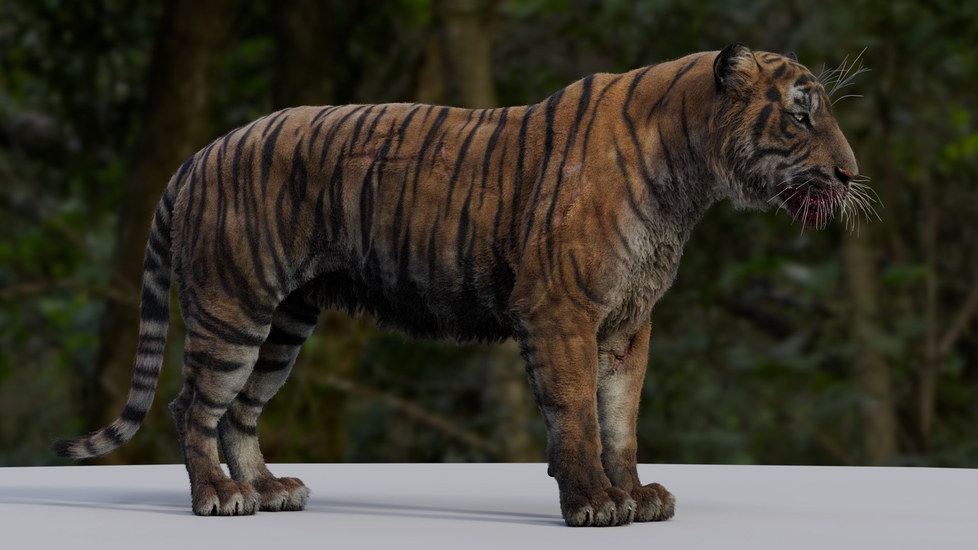 Tiger 3D model - TurboSquid 2178097