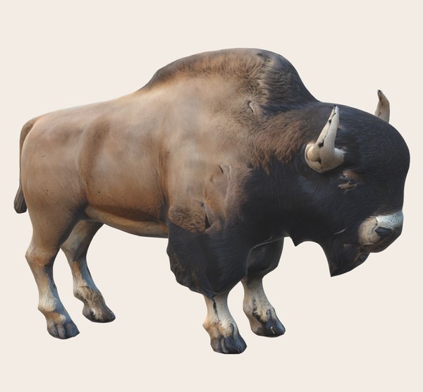 modelo 3d Bisonte - TurboSquid 2231890
