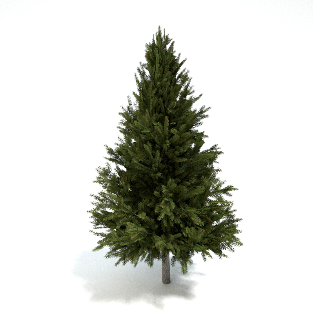 3d Model Pine Tree