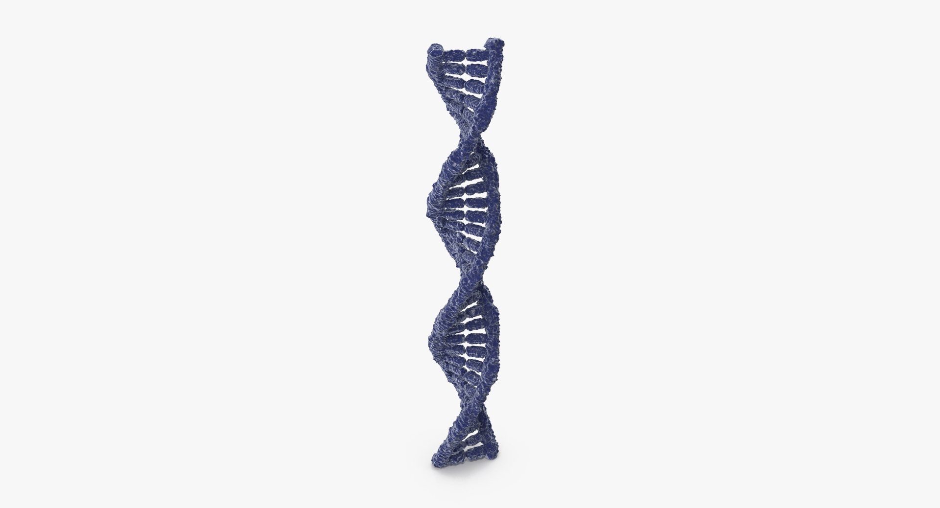 3d Model Dna