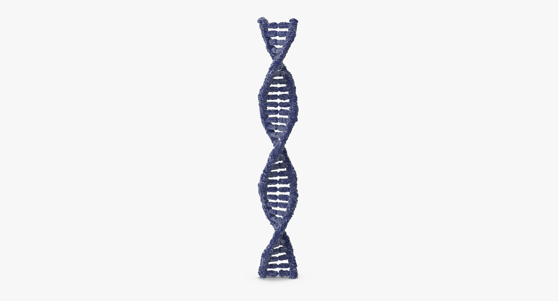 3d Model Dna