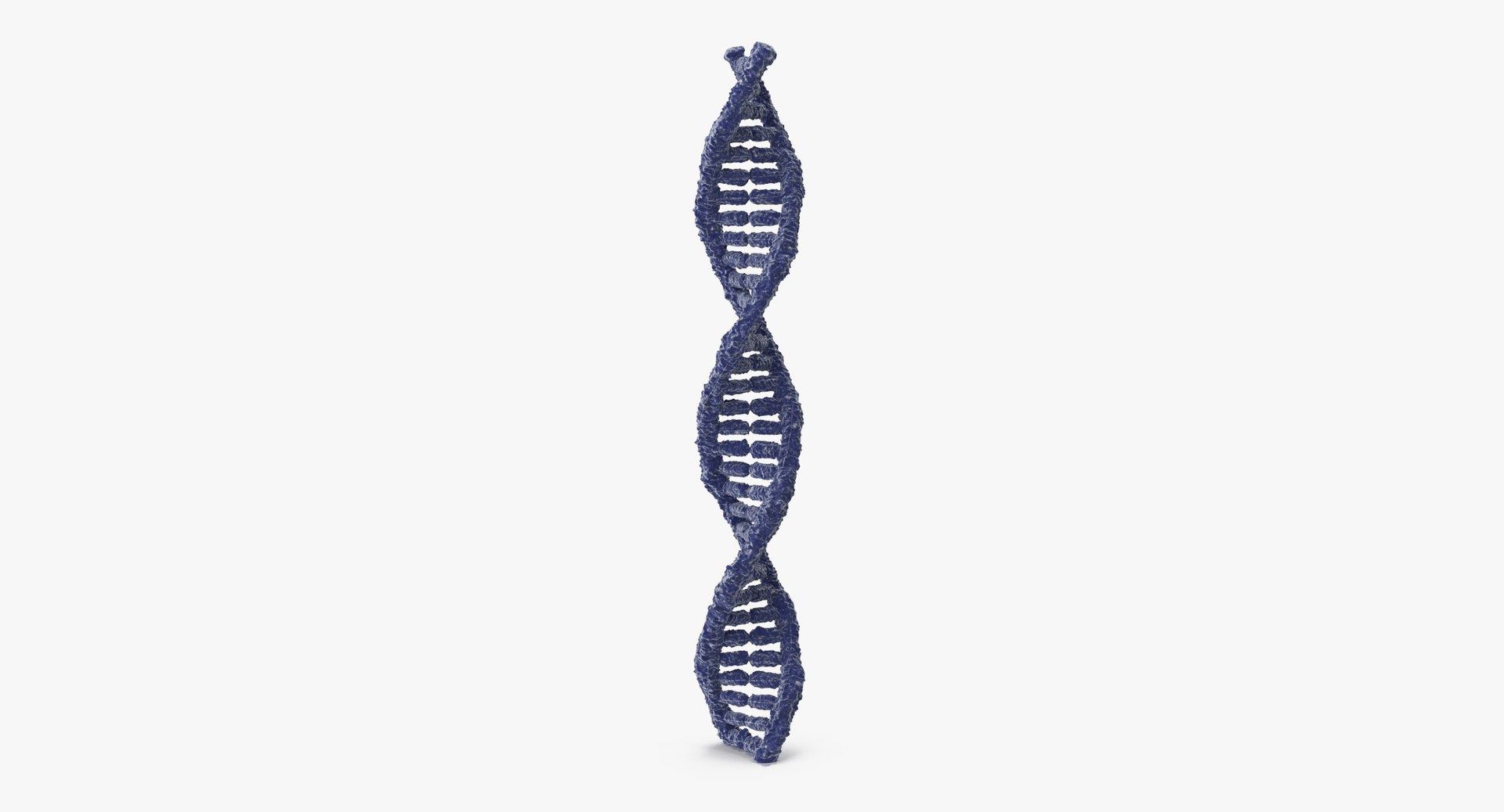 3d Model Dna