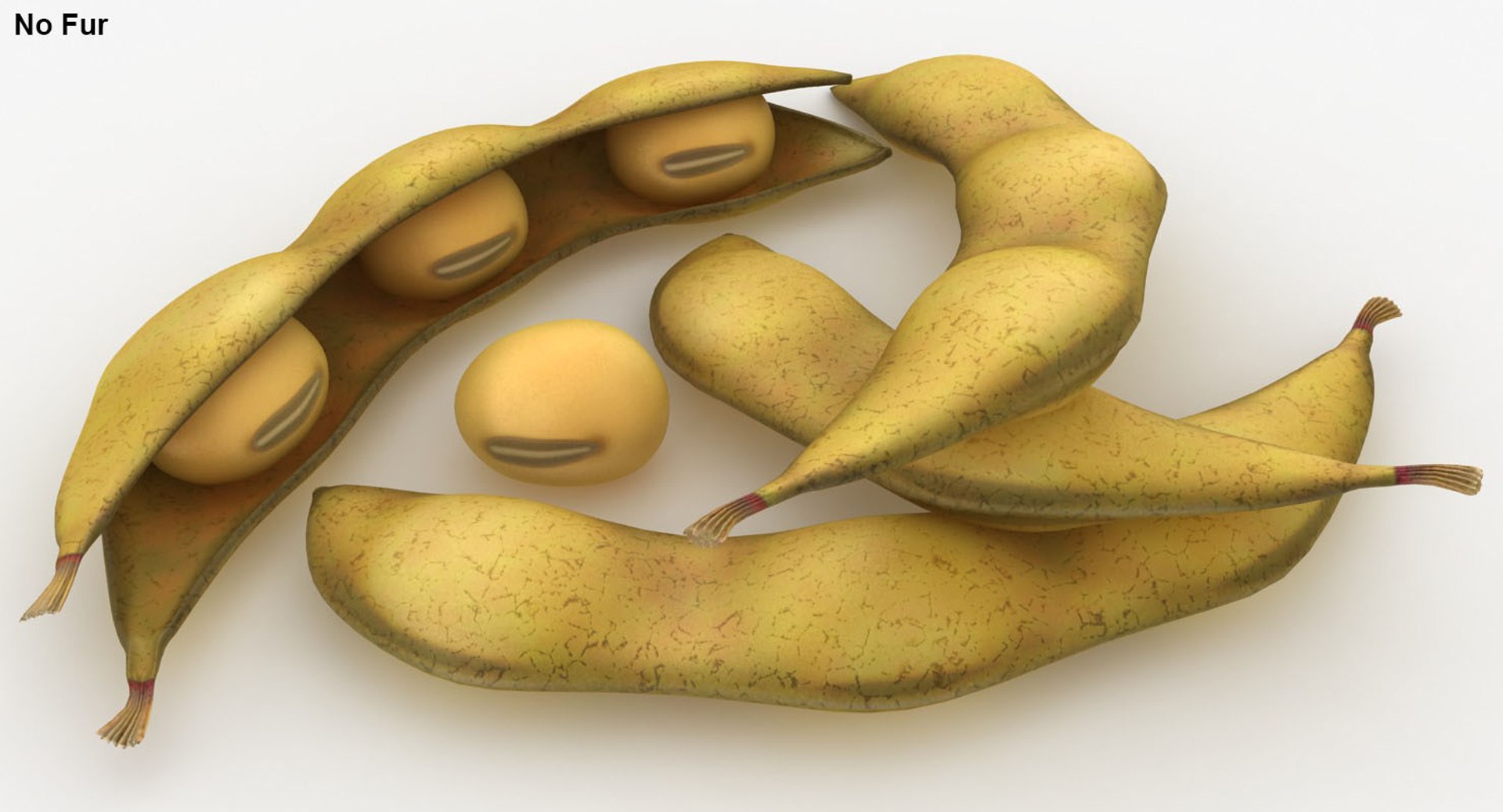 Realistic Edamame Set 3D Model - TurboSquid 1386103