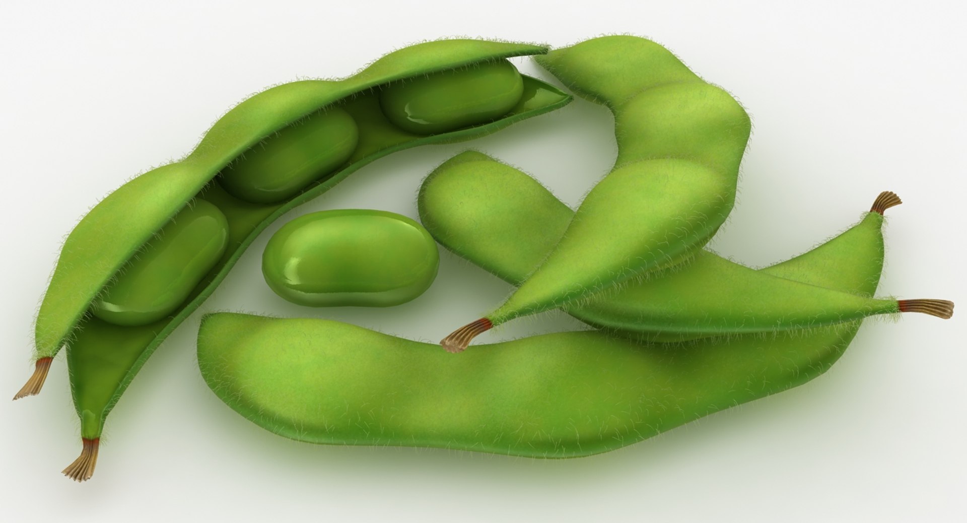 Realistic Edamame Set 3D Model - TurboSquid 1386103