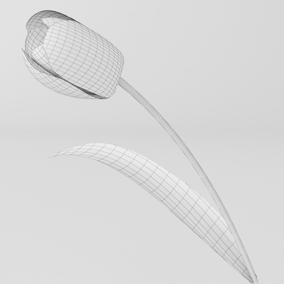 Realistic Yellow Tulip 3d Model