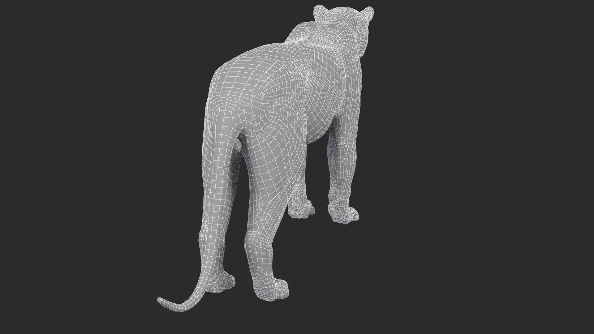 LeopardUnityPackage 3D Model - TurboSquid 2267759