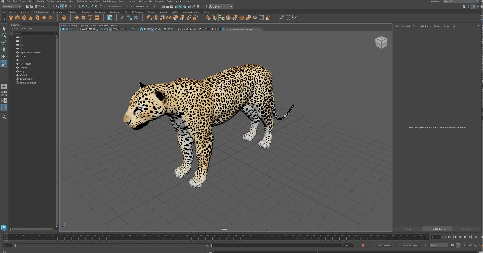 LeopardUnityPackage 3D Model - TurboSquid 2267759