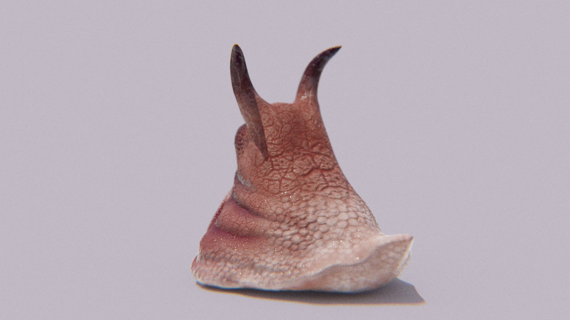 Slug Monster Ready 3D - TurboSquid 1660333