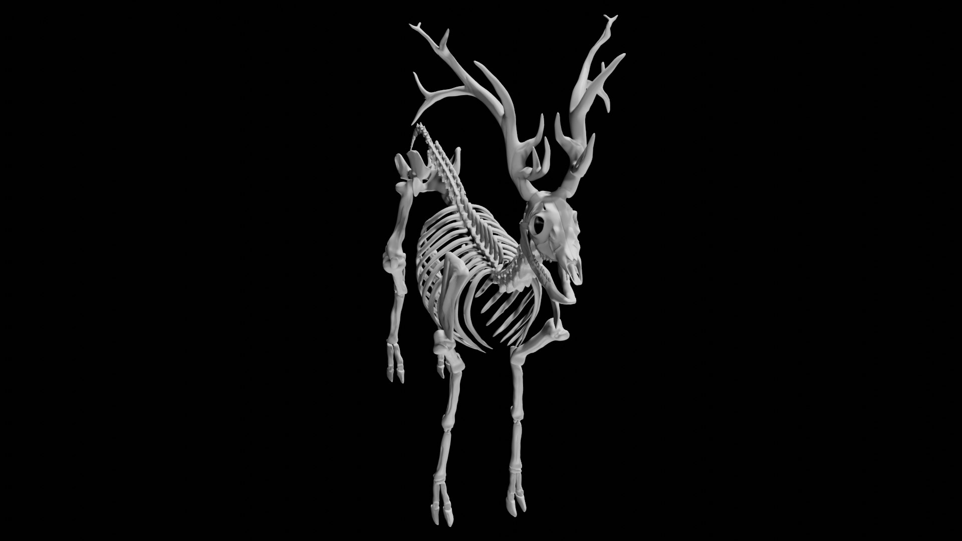 3D Deer Skeleton - TurboSquid 1856389