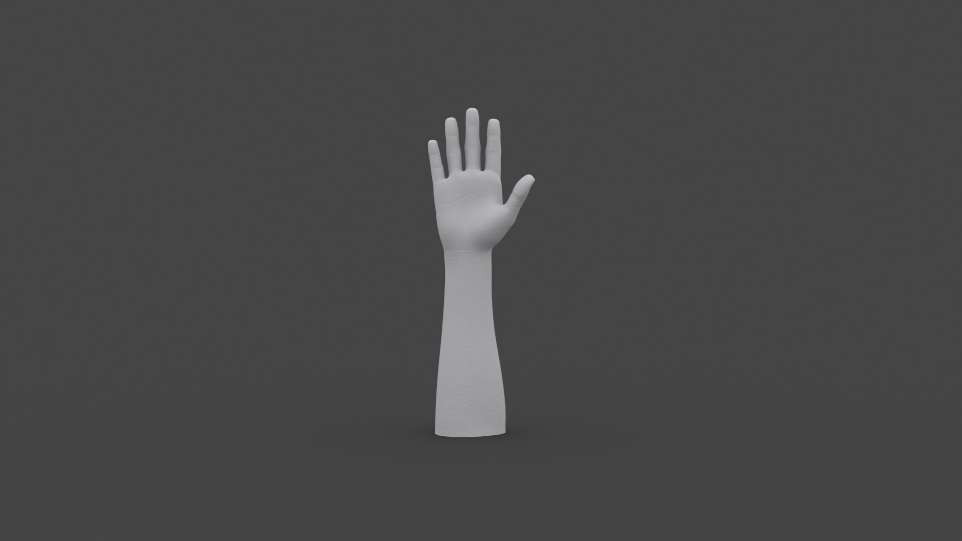 SHR-001 Rigged Right Hand Model - TurboSquid 1970571