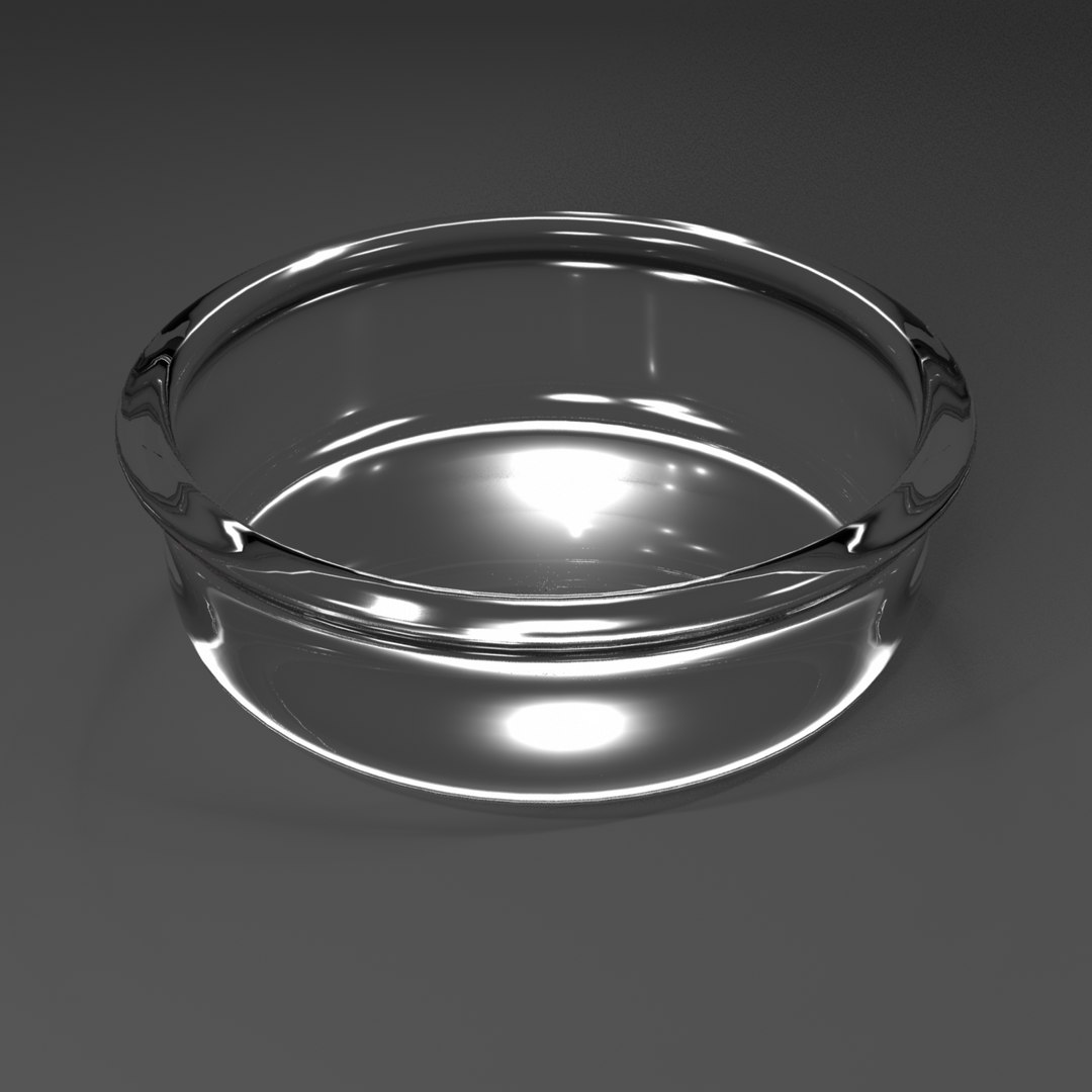 Maya Shallow Bowl