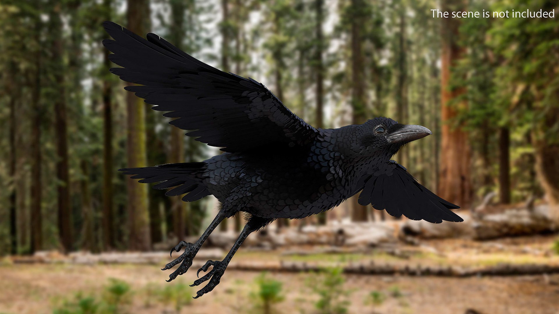 Raven Jumping Rigged Animate Model - TurboSquid 1439275