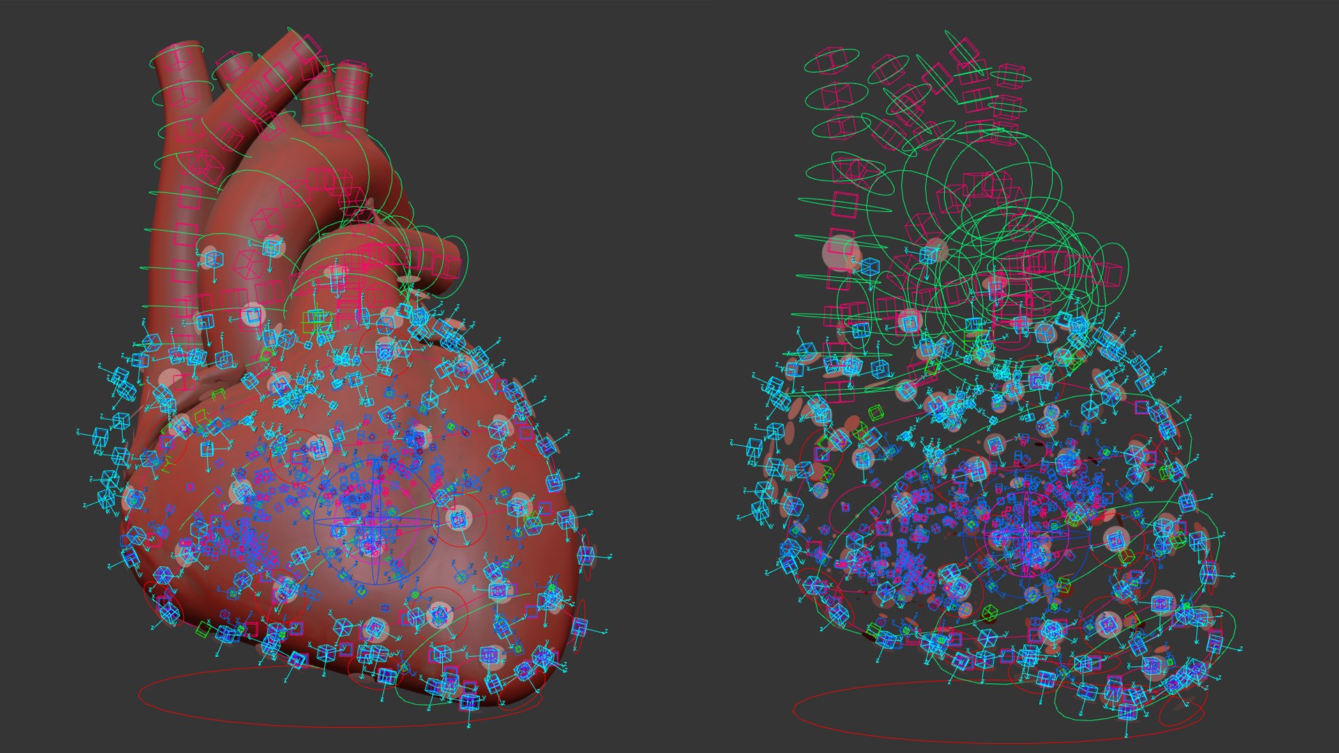 Medically Accurate Human Heart Animated 3D - TurboSquid 2030686