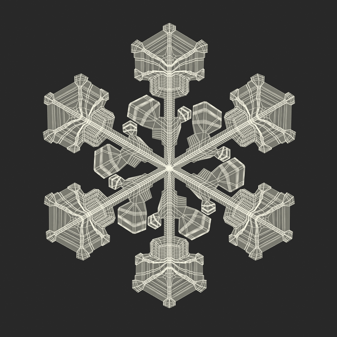3d Snowflake 2
