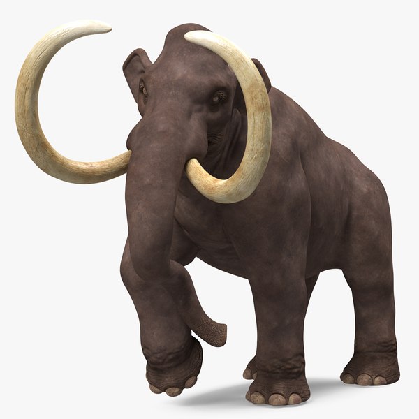 3D Mammoth Models | TurboSquid