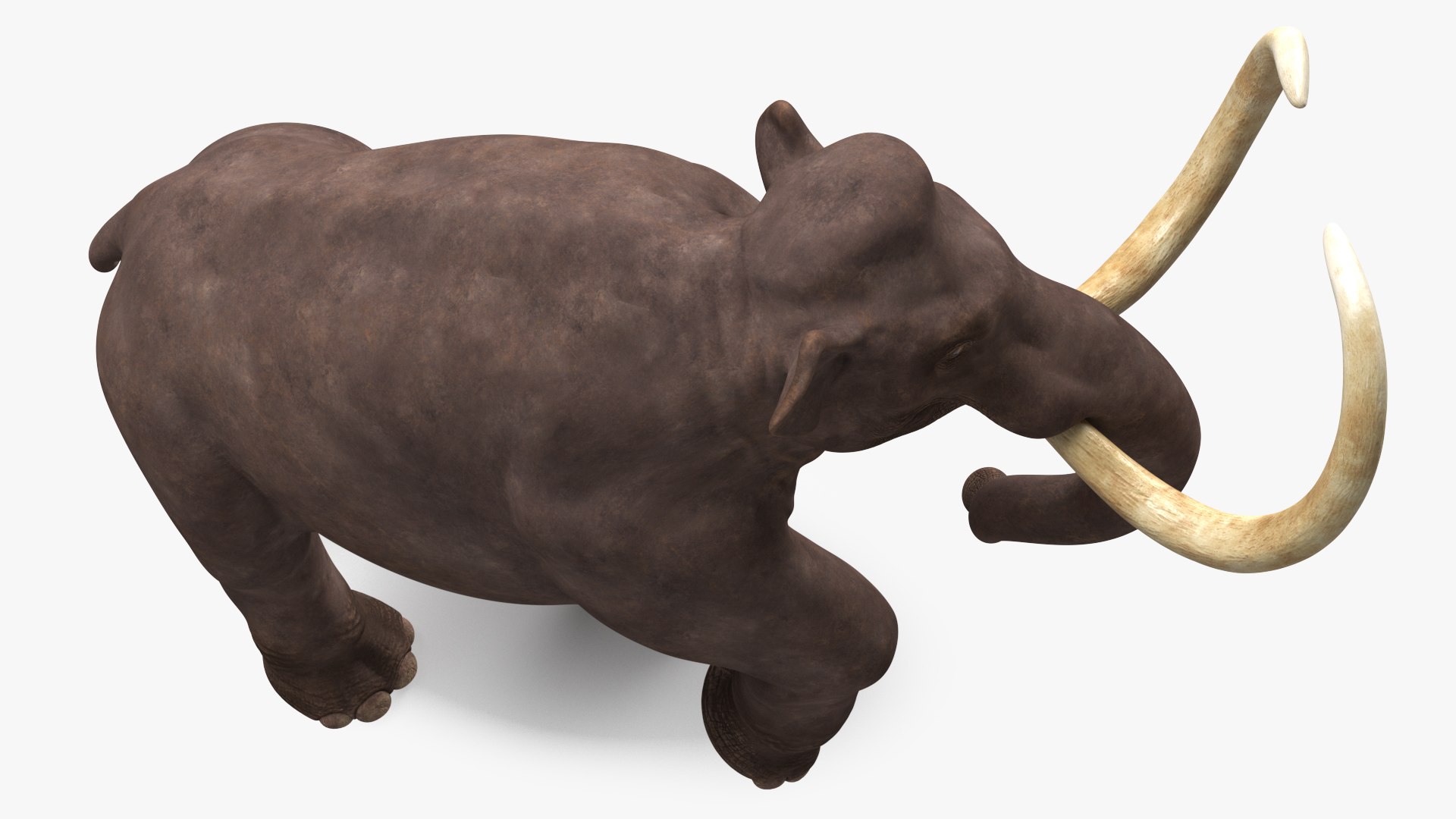 Mammoth Walking Pose 3D - TurboSquid 1803292