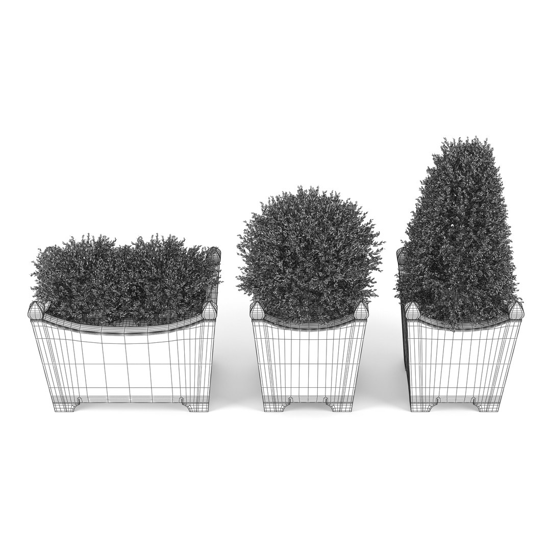 3D model boxwood - TurboSquid 1250692